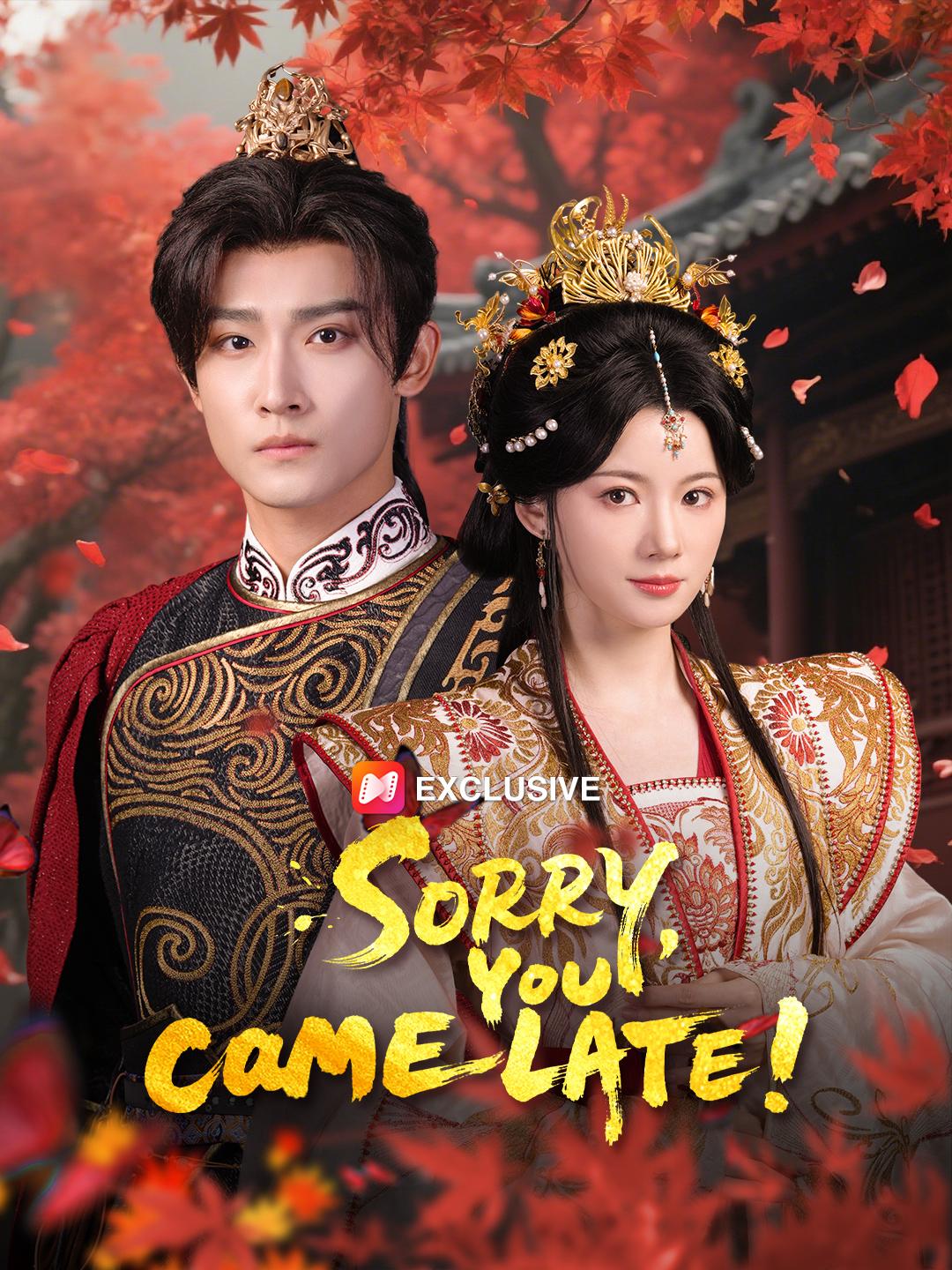 Sorry, You Came Late! Online Watch - NetShort